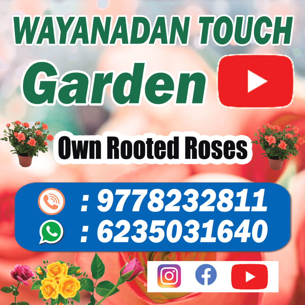 Sreejisha R B | Plant Care | Wayanadan Touch Garden, Wayanad